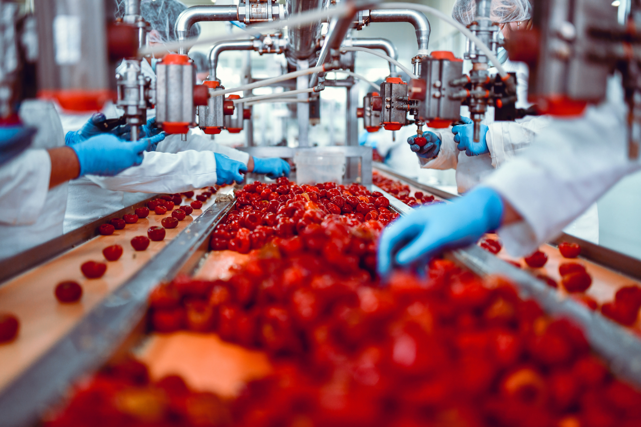 Food processing industry in India